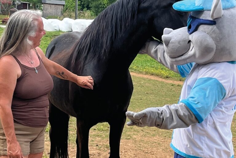 More Than a Game: The HarborHippos Bring Summer to Life – LKN Magazine